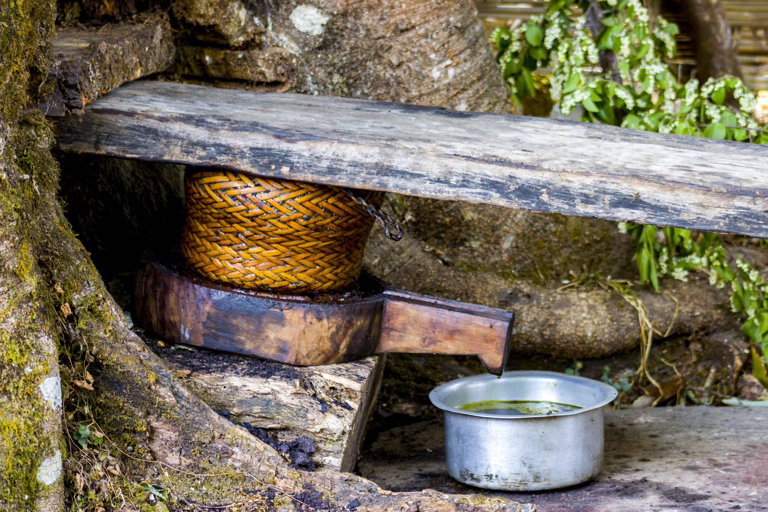 Royal Bhutanese Embassy, Bangkok – Just another WordPress site